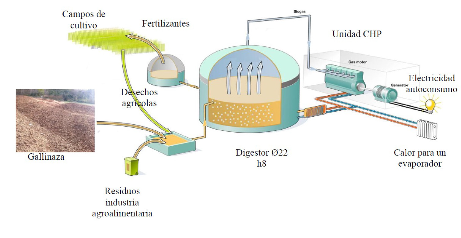 Funcionamiento de una planta de biogás – Biogas